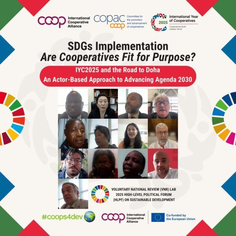 Are Cooperatives Fit for Purpose? VNR Lab held at HLPF 2025 in New York – COPAC