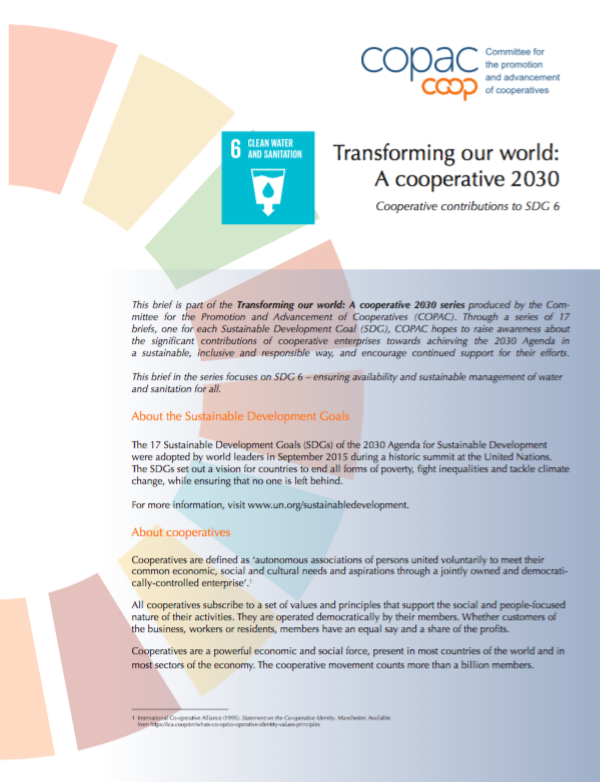 Transforming our world: A cooperative 2030 – Cooperative contributions ...
