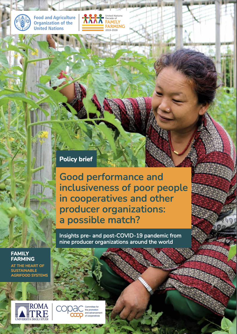 Policy Brief: Good performance and inclusiveness of poor people in ...